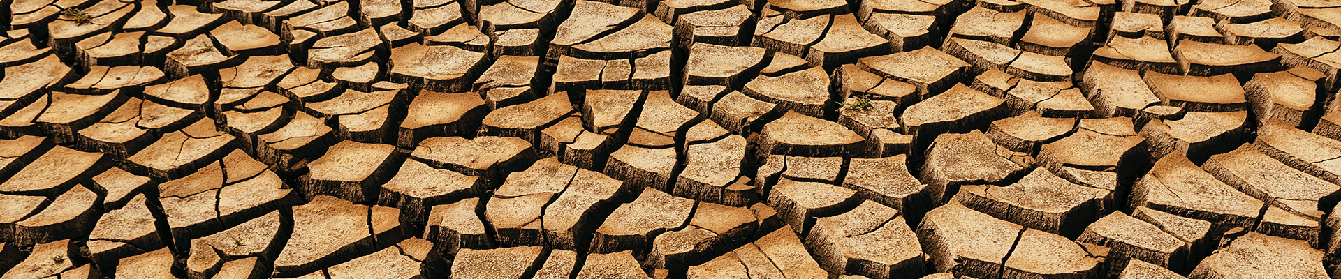 CLT vs. ACT® - Comparing the College Entrance Exams